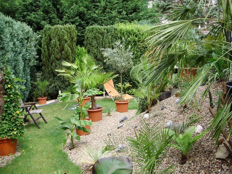 Palmen und Co. » Garten Umgestaltung mit Sandbeeten