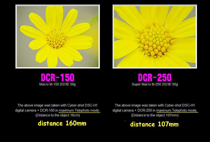 Re: HX100V + Raynox DCR-150 Macro Lens: Sony Cyber-shot Talk Forum ...